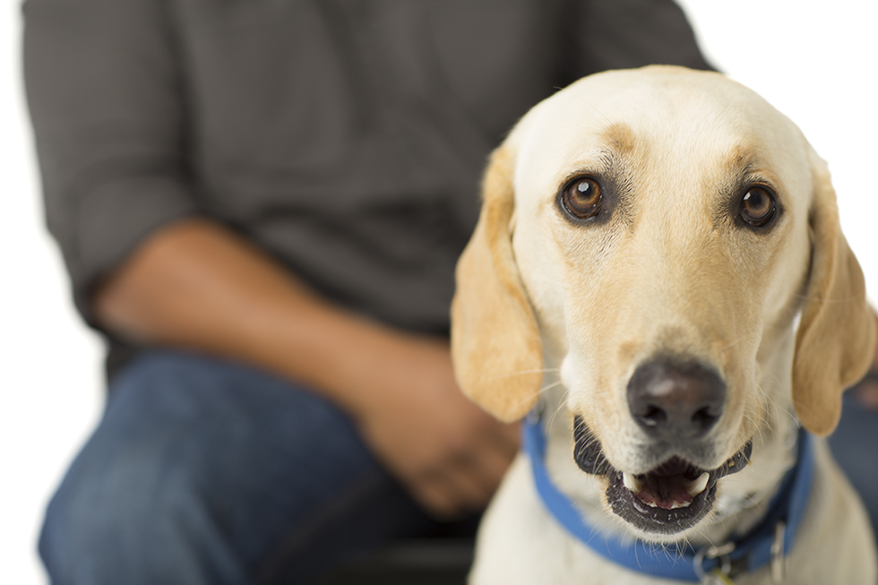 Vicki Topaz | HEAL! Veterans & Their Service Dogs